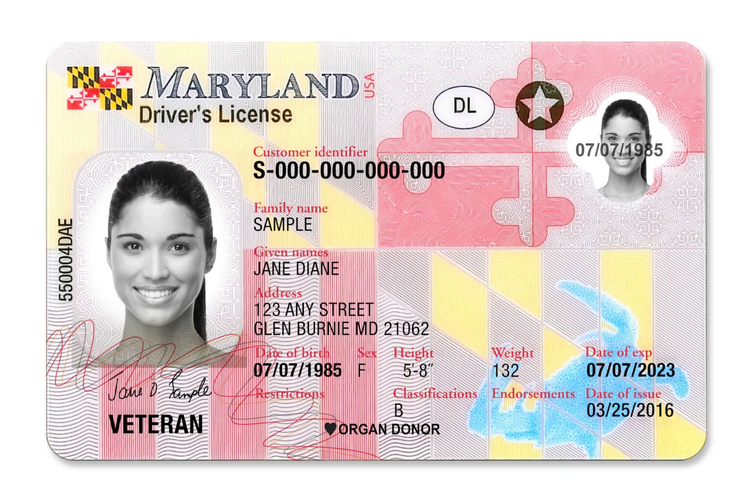 Temporary Tags in Maryland | Same-Day Temporary Registration – MG Tag ...